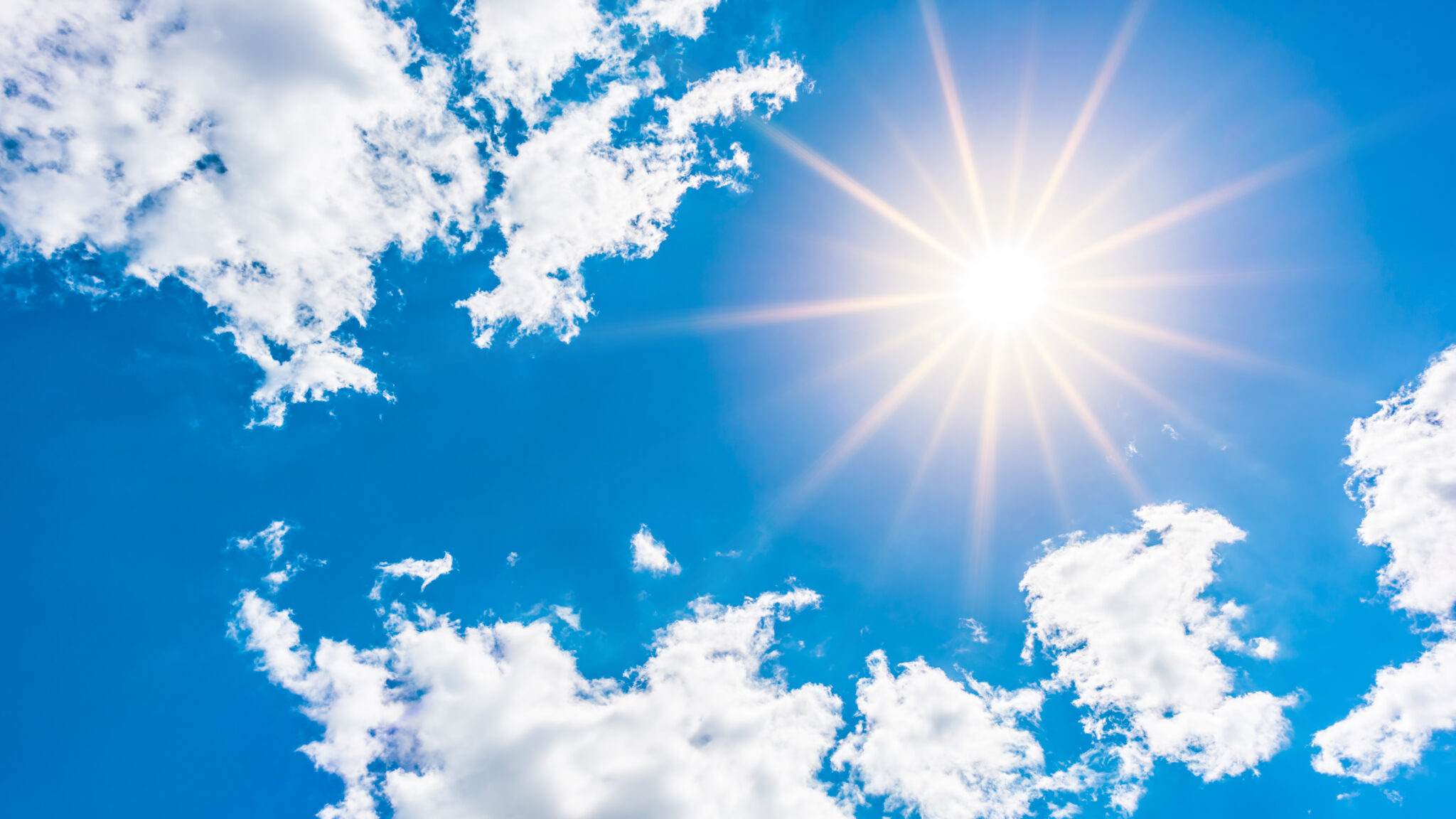 Canicule : les services municipaux s'adaptent - Cugnaux
